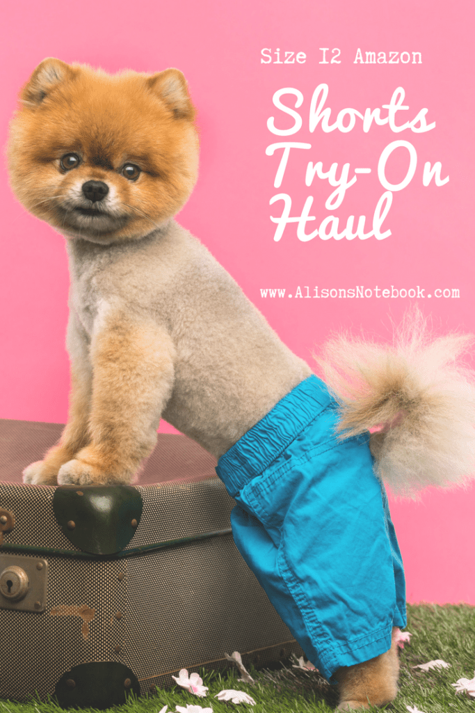 Size 12 Shorts for Women // Mini Summer Amazon Haul