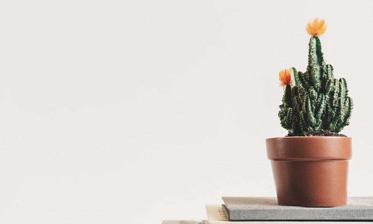What Is Minimalism? Minimalism Challenge + Worksheet