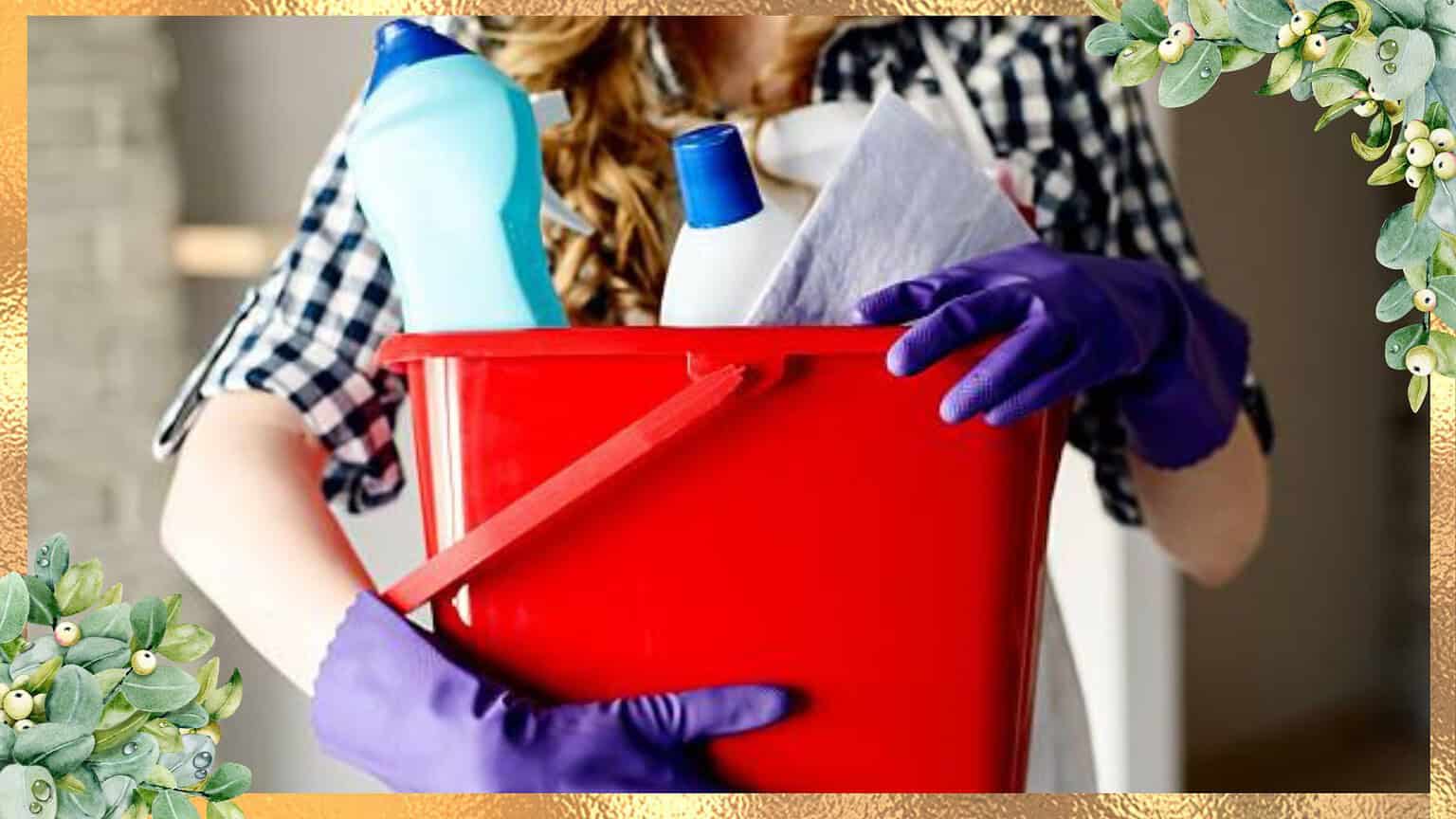 Clean Mama Or FlyLady (Which Cleaning Routine Is Your Perfect Match ...