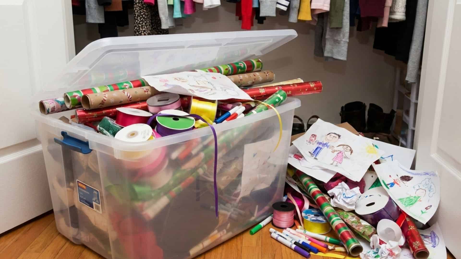 What I Got Wrong About Storage Bins Organization